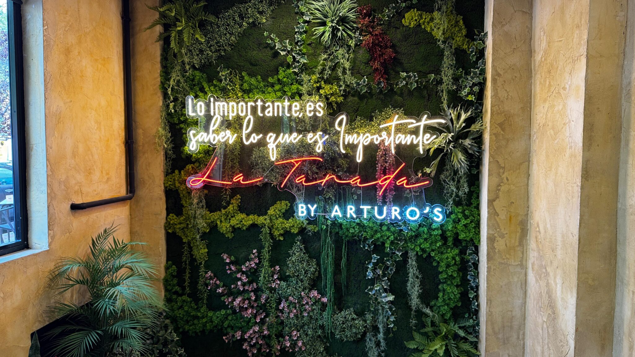 Gran inauguración de la taberna La Tarada en Alcorcón | alcorconhoy.com